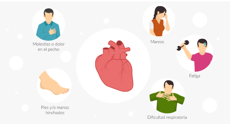 Salud cardiovascular en personas que han superado un cáncer | # ...
